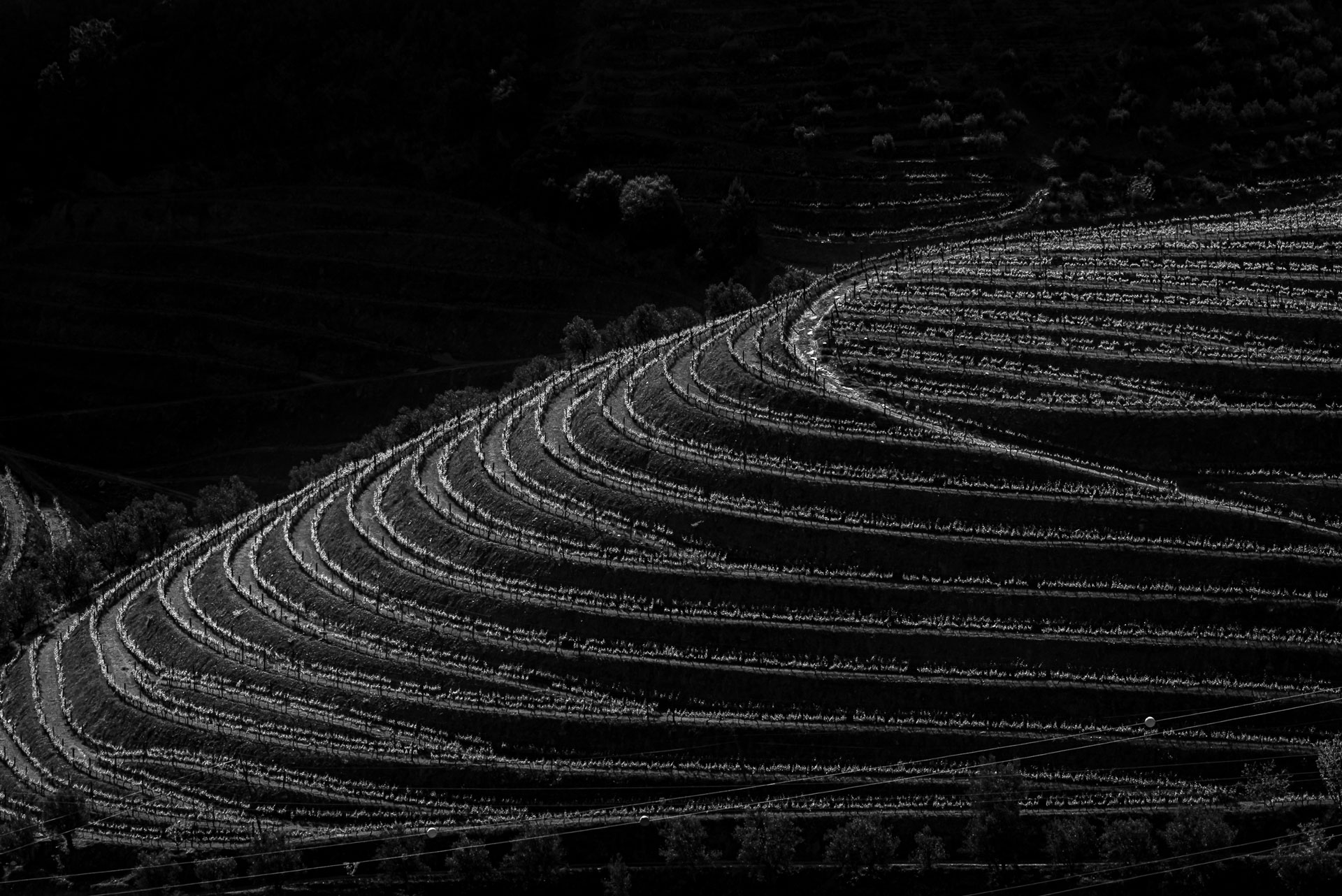 Douro Portuguese Soul Magazine Douro Portuguese Soul Magazine